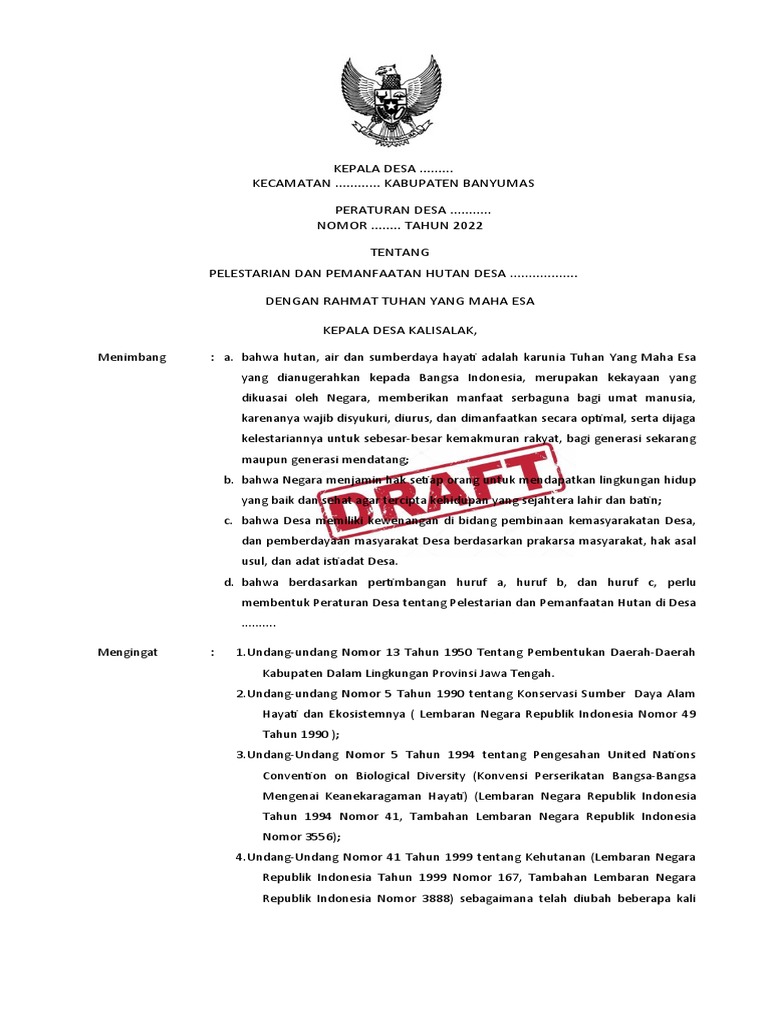 1.draft Perdes PPHD | PDF