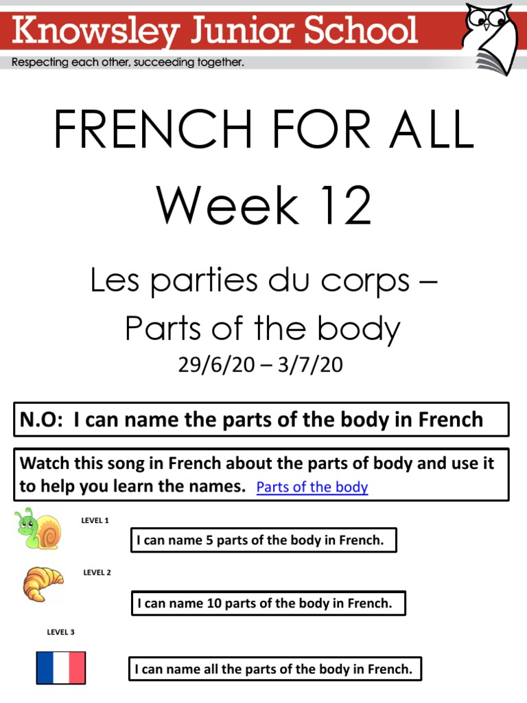 Body Parts in French Worksheet | PDF | Wellness