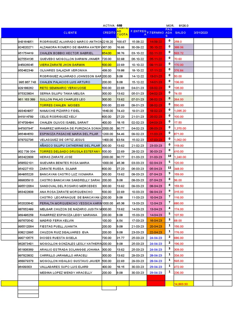 Client Payment Summary Report | PDF