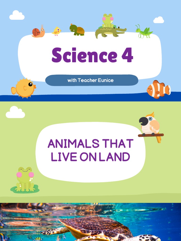 Grade 4 Animals that Live in Water Habitat | PDF | Whales | Predation