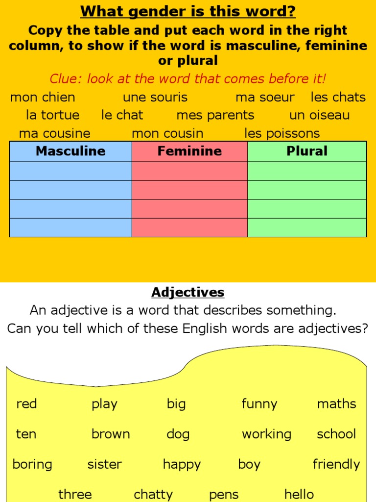 Gender Rules for French Adjectives | PDF | Grammatical Gender | Grammar