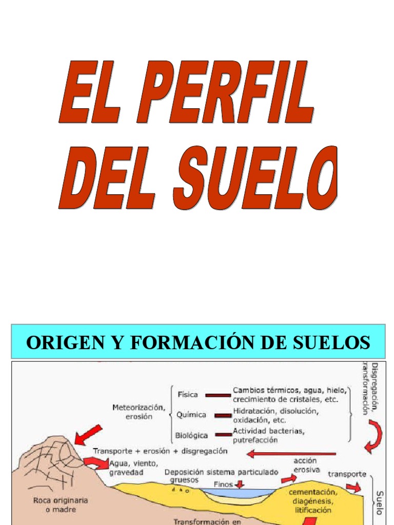 PERFIL DEL SUELO. 2ppt | Descargar gratis PDF | Suelo | Roca (geología)