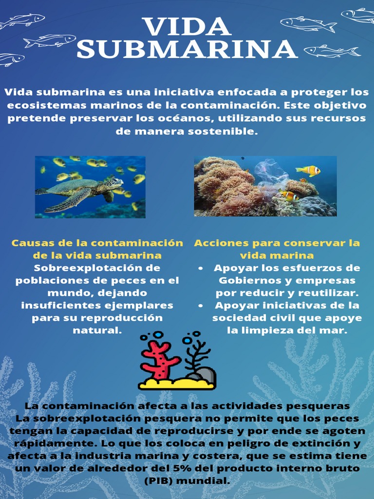 Vida Submarina | PDF