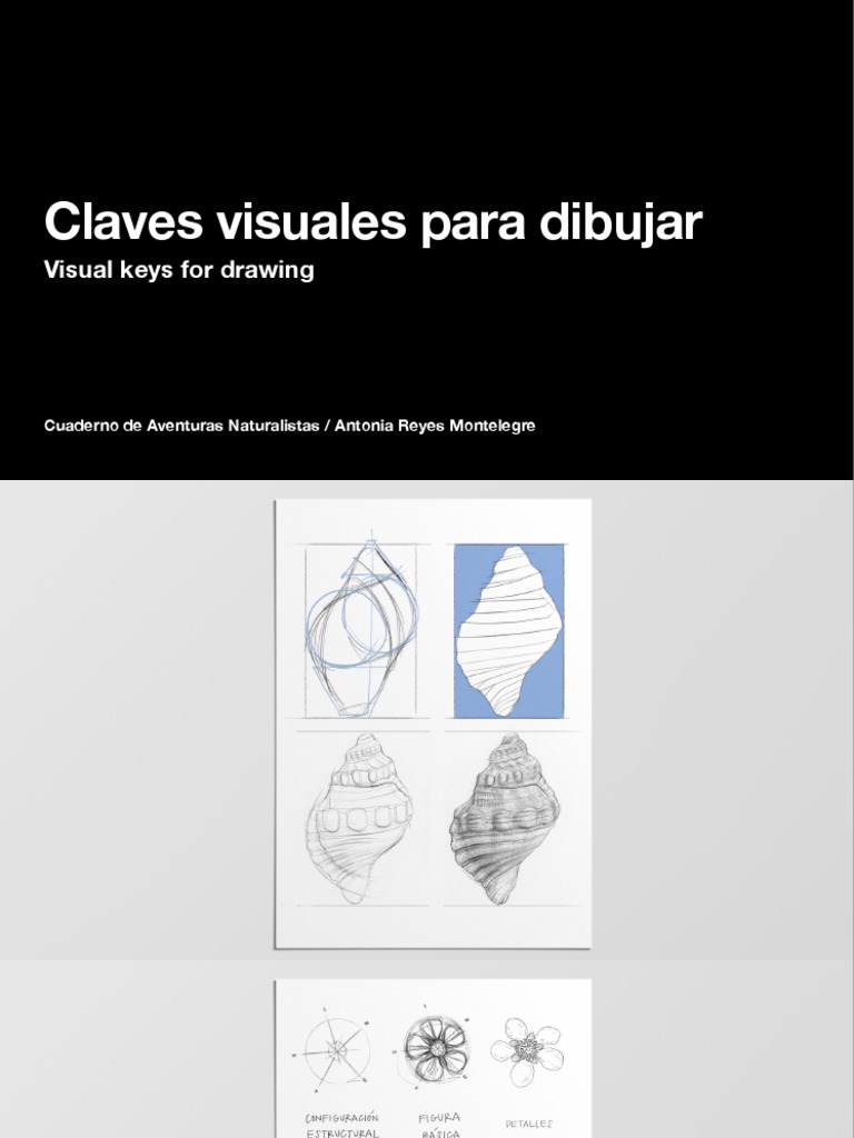 Claves Visuales para Dibujar: Visual Keys For Drawing | PDF