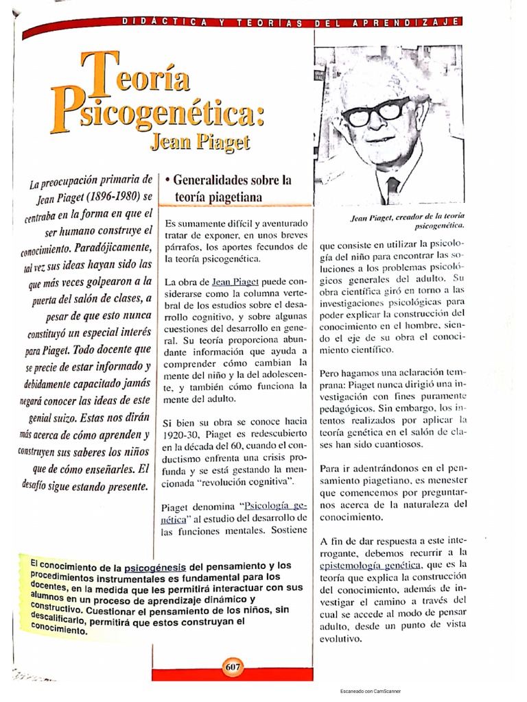 Teoría Psicogenetica de Piaget | PDF