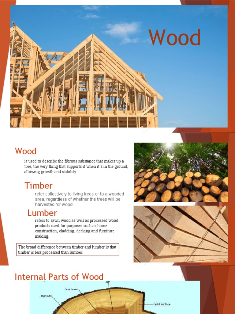 Wood | PDF | Strength Of Materials | Lumber