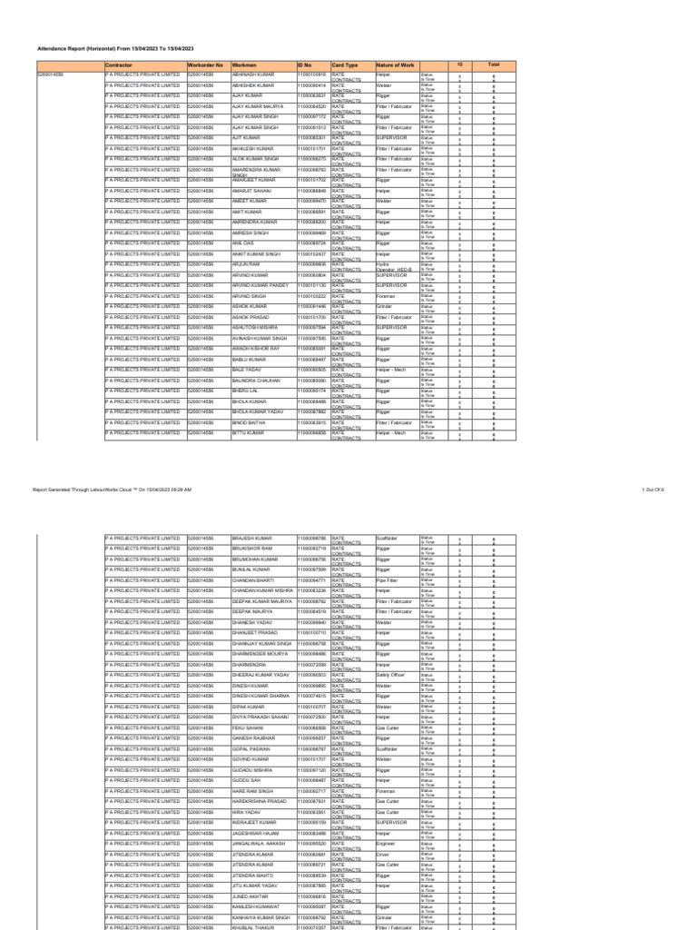 SummaryReport2 AMNS | PDF