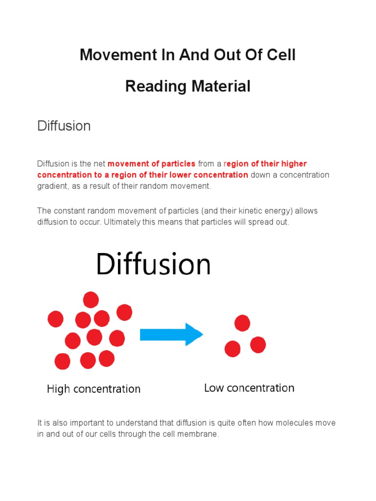 Movement in and Out of Cells 1 | PDF | Osmosis | Diffusion
