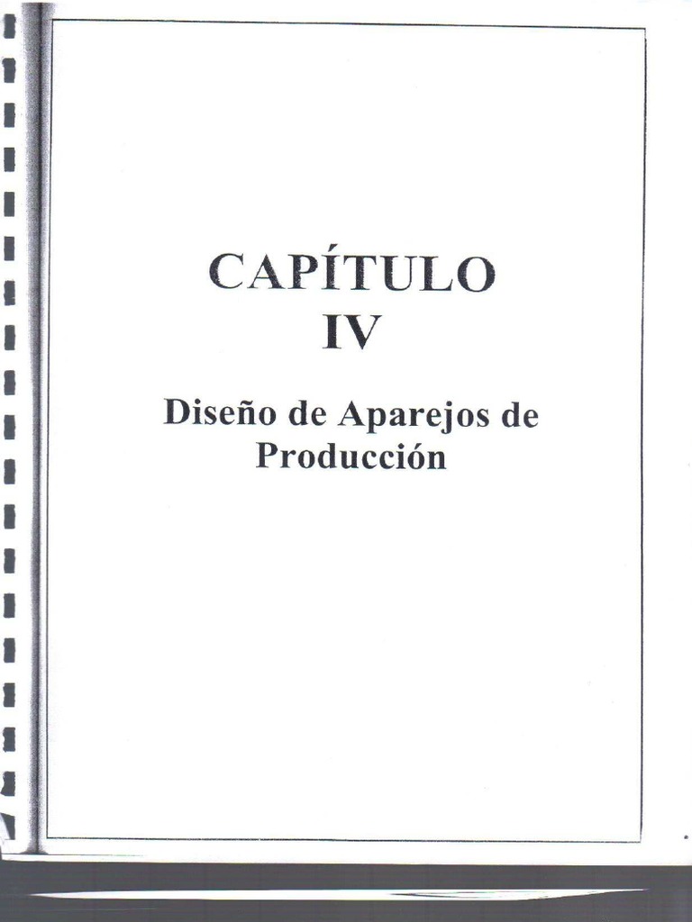 Capitulo IV | PDF