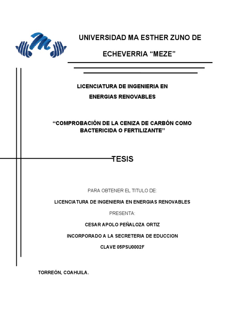 Comprobación de La Ceniza de Carbón Como Bactericida o Fertilizante ...