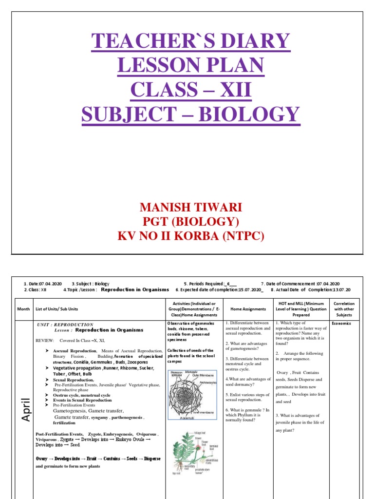 Lesson Plan Xii Bio 23-24 | PDF | Dna | Molecular Cloning