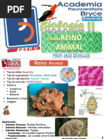 Limbo | PDF | Hoja | Botánica