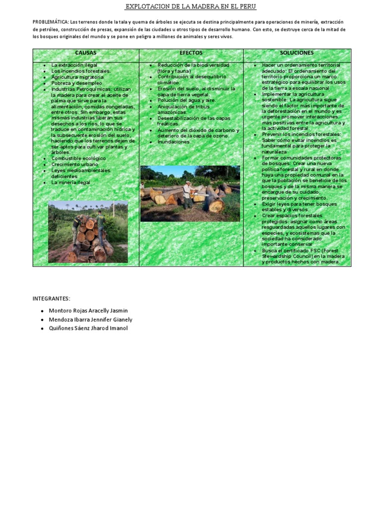 Explotacion de La Madera en Peru | PDF | Los bosques | Deforestación
