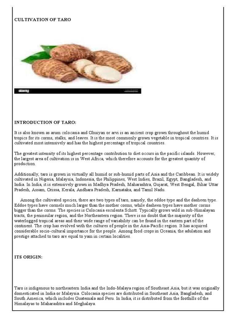 Cultivation of Taro: A Comprehensive Guide to Growing the Ancient Crop ...