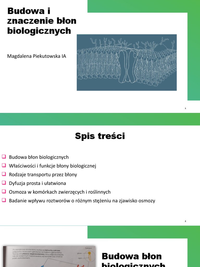 Budowa I Znaczenie Błon Biologicznych | PDF