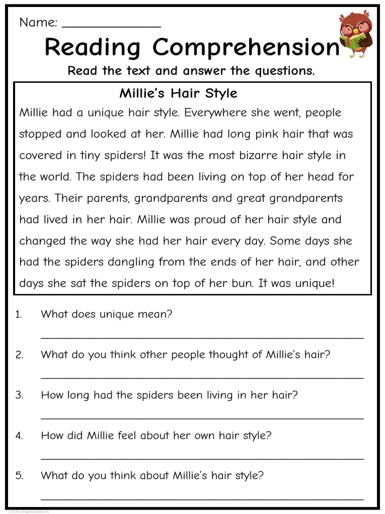 Reading Comprehension: Millie's Hair Style | PDF