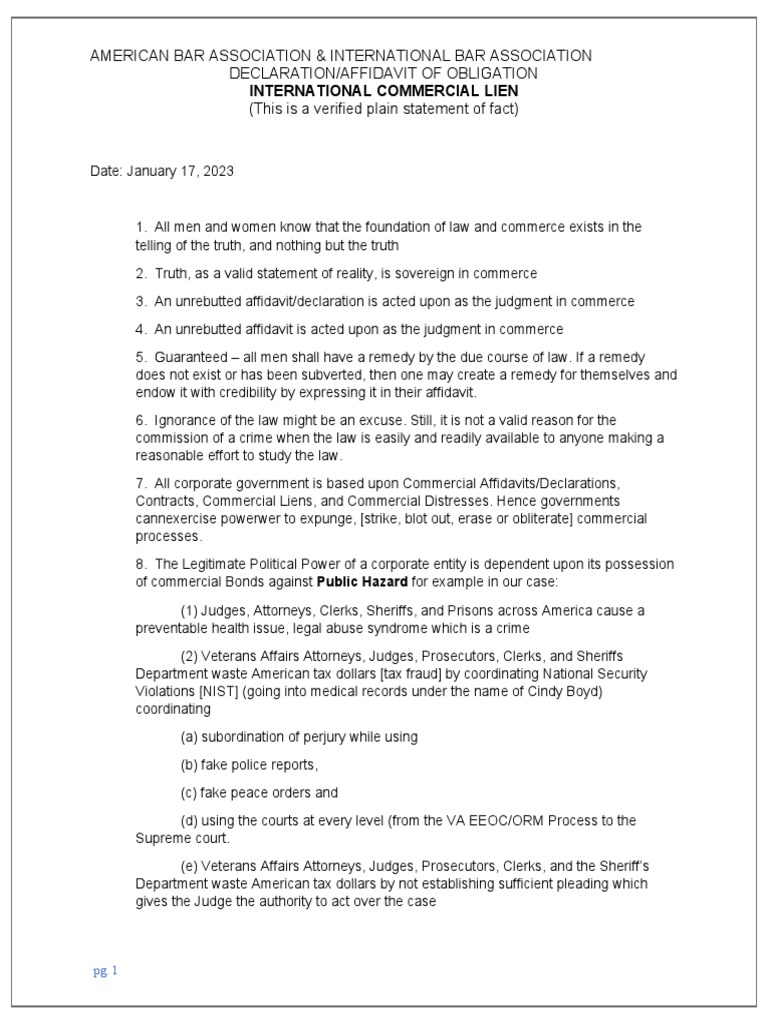American Bar Association & International Bar Association Declaration ...