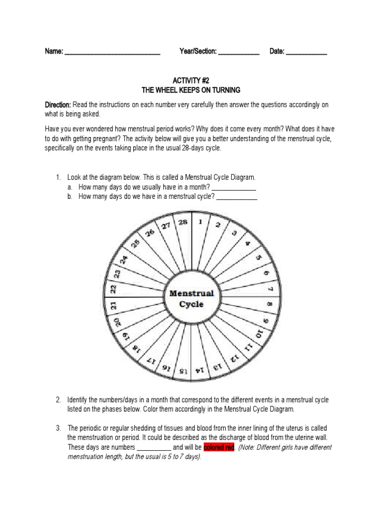 Activity 2 - The Wheel Keeps On Turning | PDF | Menstrual Cycle | Women ...