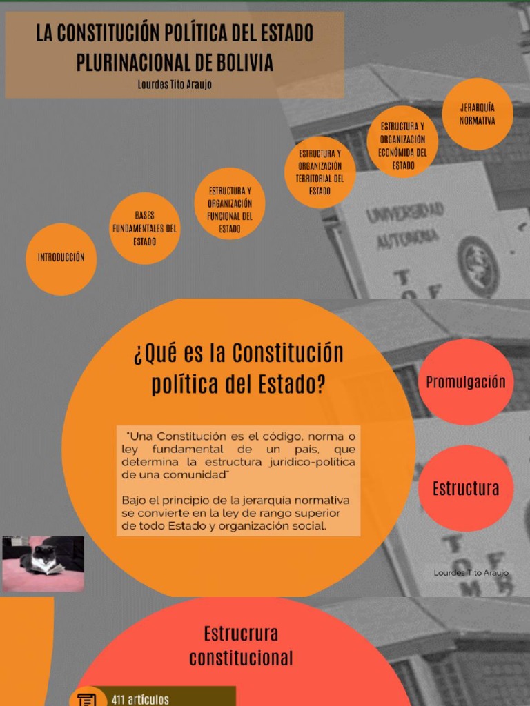 Constitucionpoliticadelestadoplurinacionaldebolivia 210808133658 | PDF
