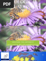 Answer Key - Symbiotic Relationships | PDF | Ecosystem | Symbiosis