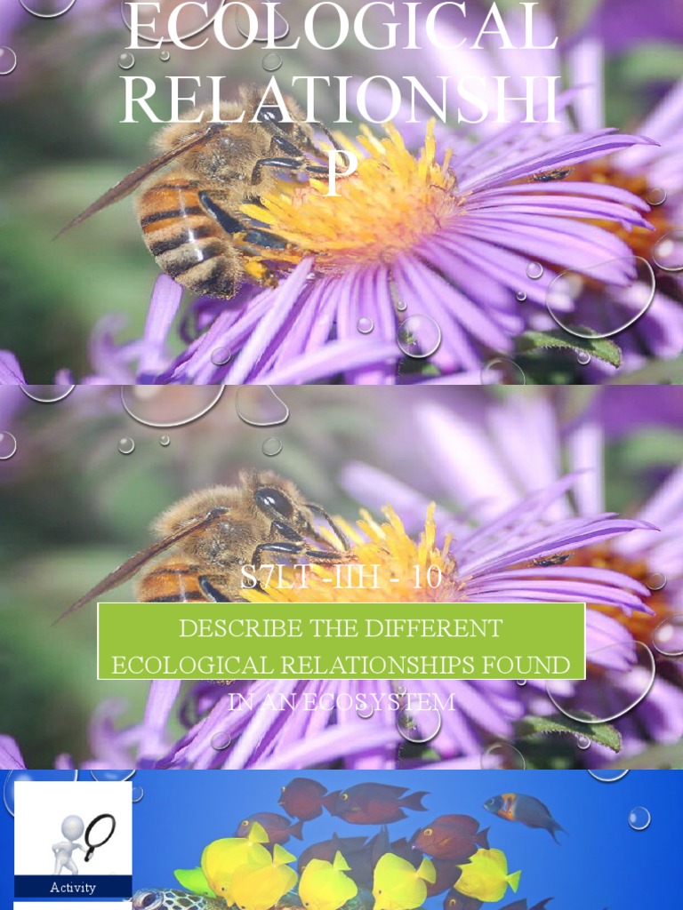 G7 Science Q2 - Week 6 - Ecological Relationship | PDF | Parasitism ...