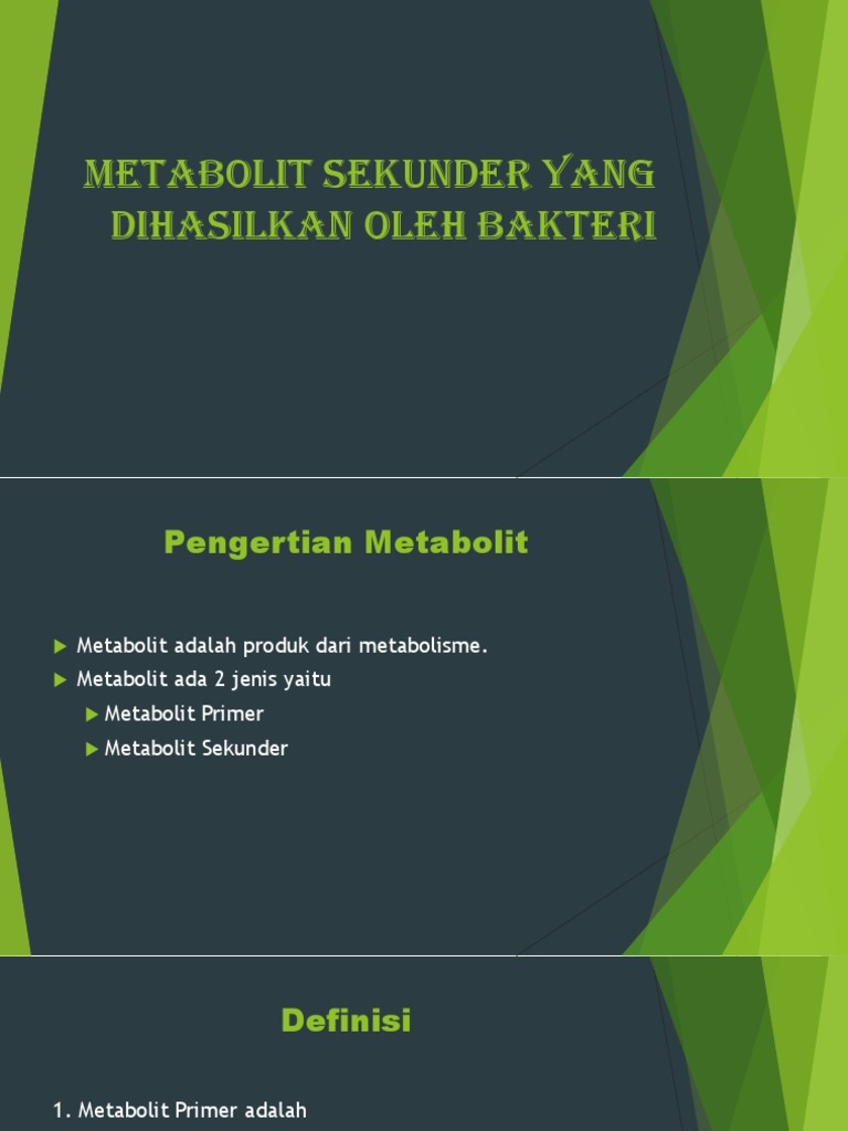 Metabolit Sekunder - Nun | PDF