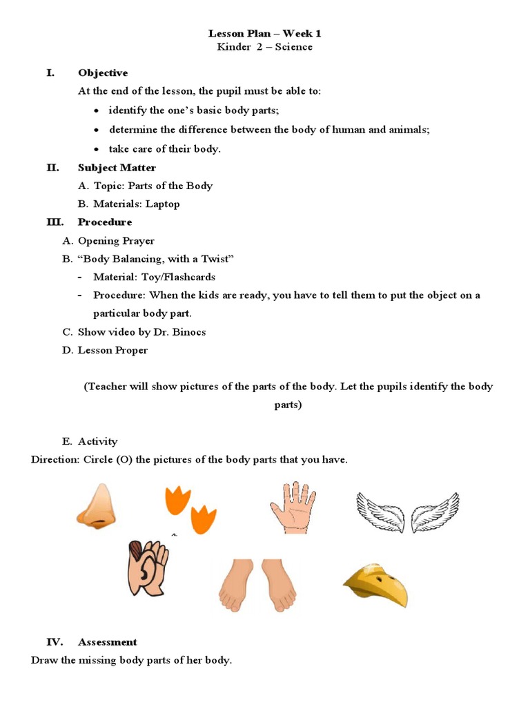 Kinder Science Lesson: Body Parts | PDF
