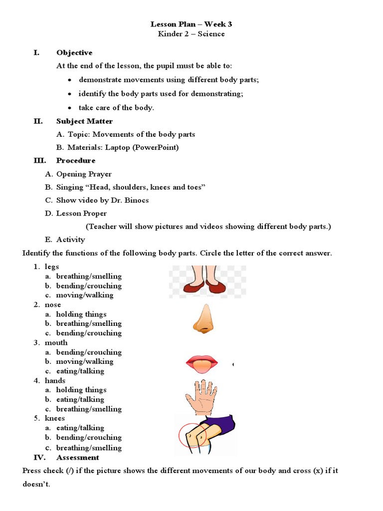 Body Parts and Movements Lesson Plan | PDF