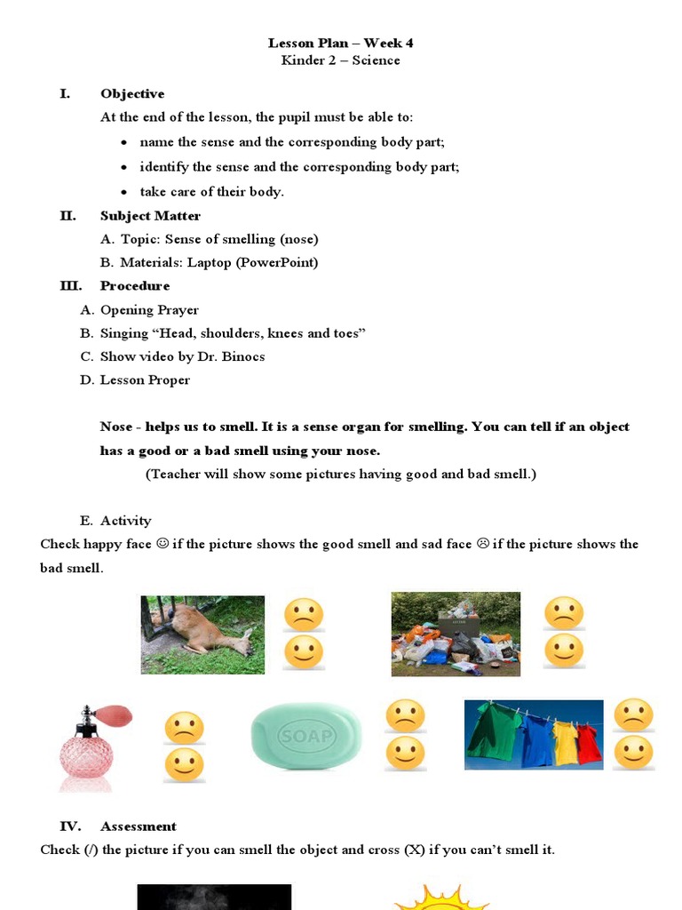 WEEK 4 - Sense of Smelling | PDF