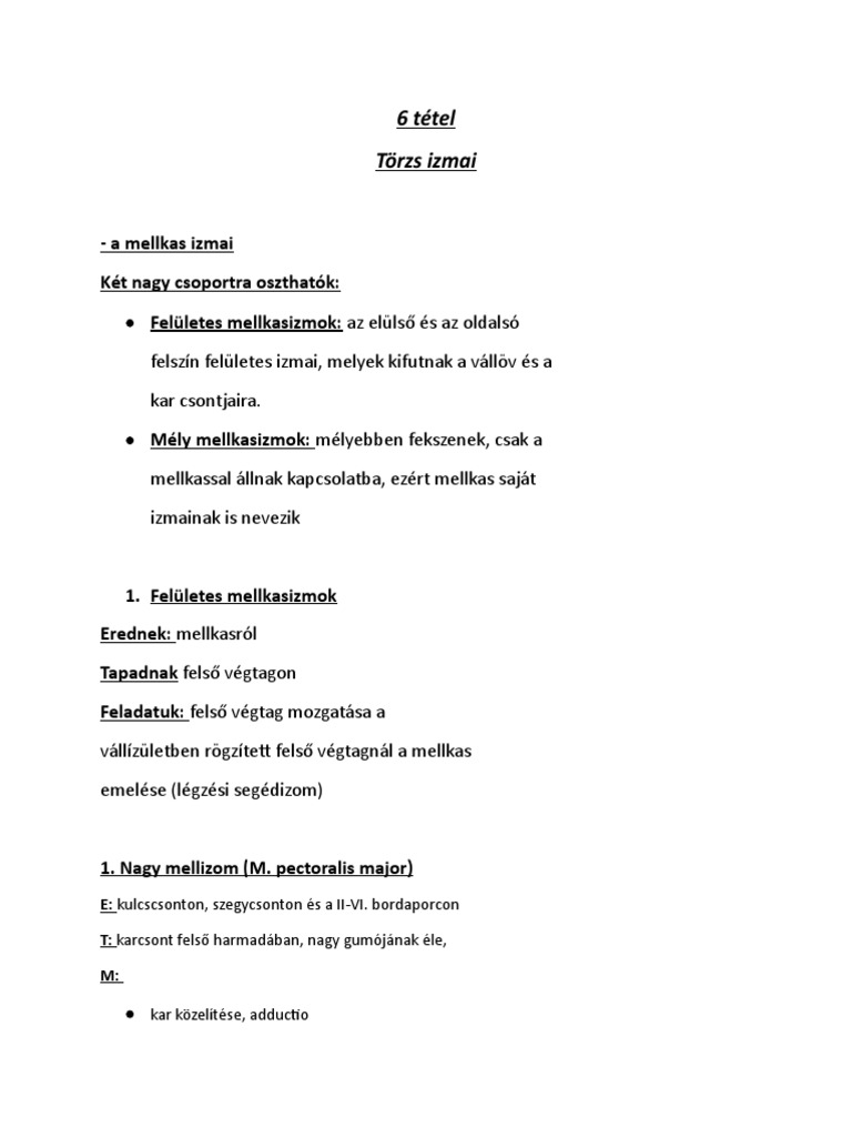 6 Tétel Törzs Izmai: - A Mellkas Izmai K Ét Nagy Csoportra Oszthatók ...