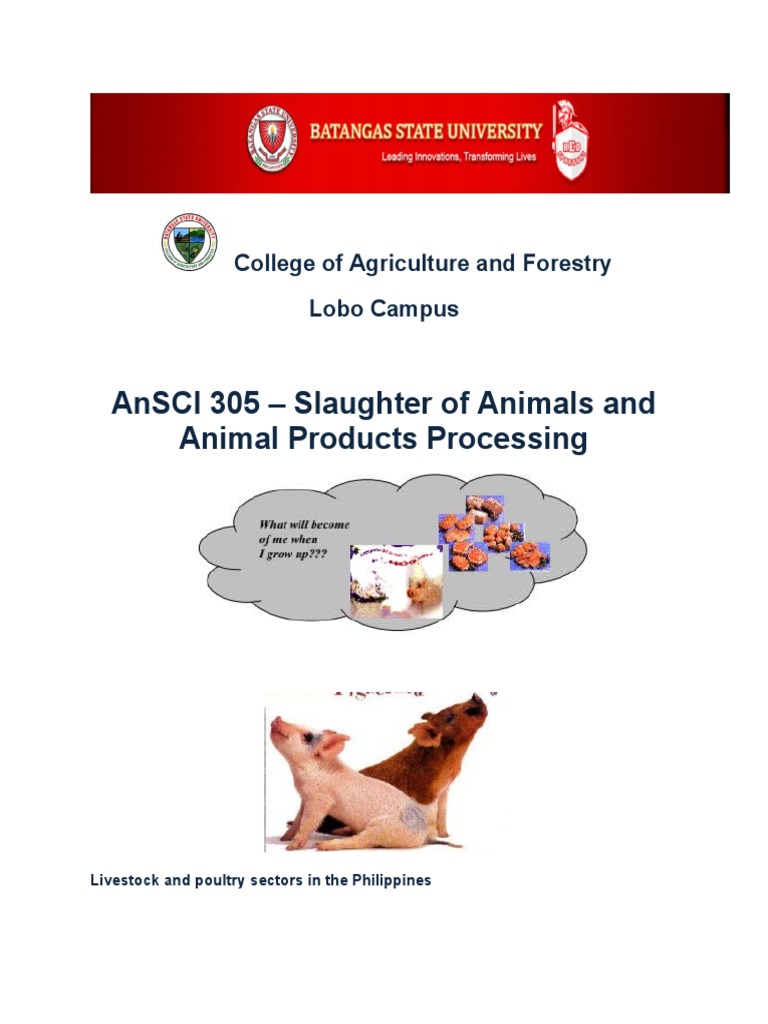 Meat Processing Manual | PDF | Meat | Slaughterhouse