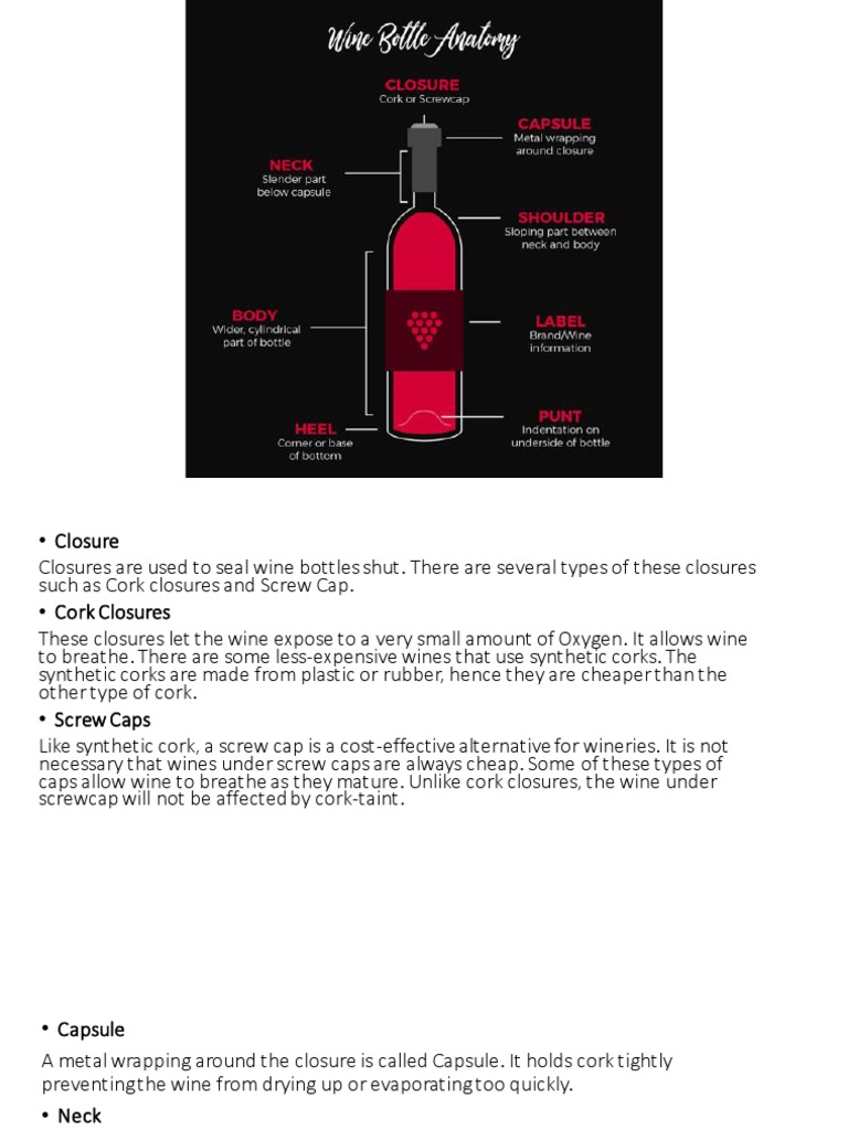 Anatomy of Wine Bottle 1637828050 | PDF