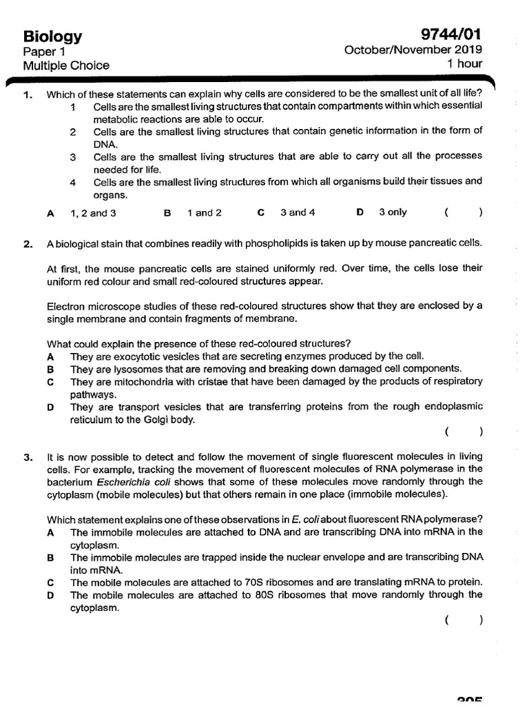 20 - Specimen Paper 2019 - P1 | PDF