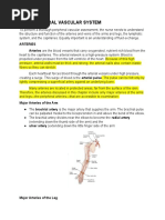 Labster 5 Post Lab | PDF | Muscle Contraction | Skeletal Muscle