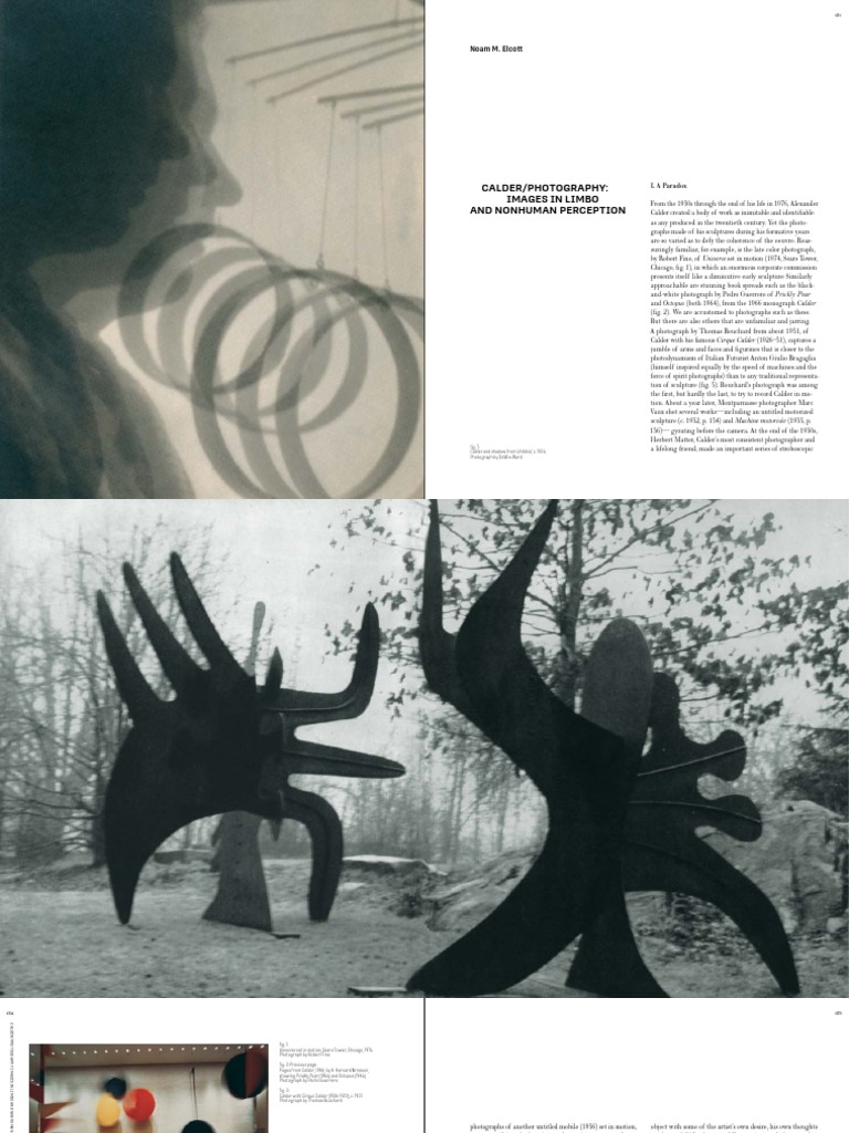 Calder/Photography: Images in Limbo and Nonhuman Perception: Noam M ...