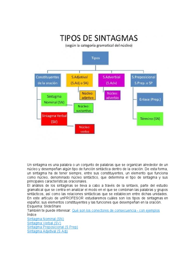 Tipos de Sintagmas 7° 2020 | PDF