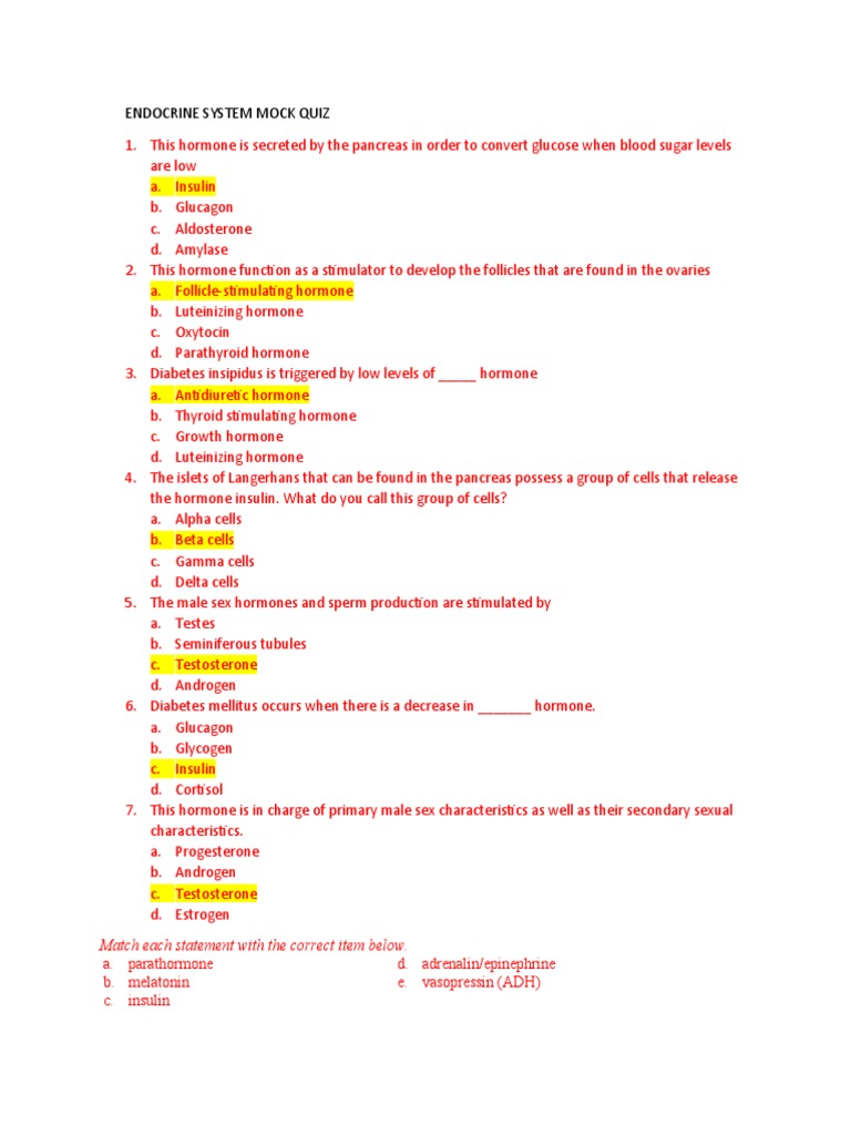 Endocrine System Mock Quiz: Match Each Statement With The Correct Item ...