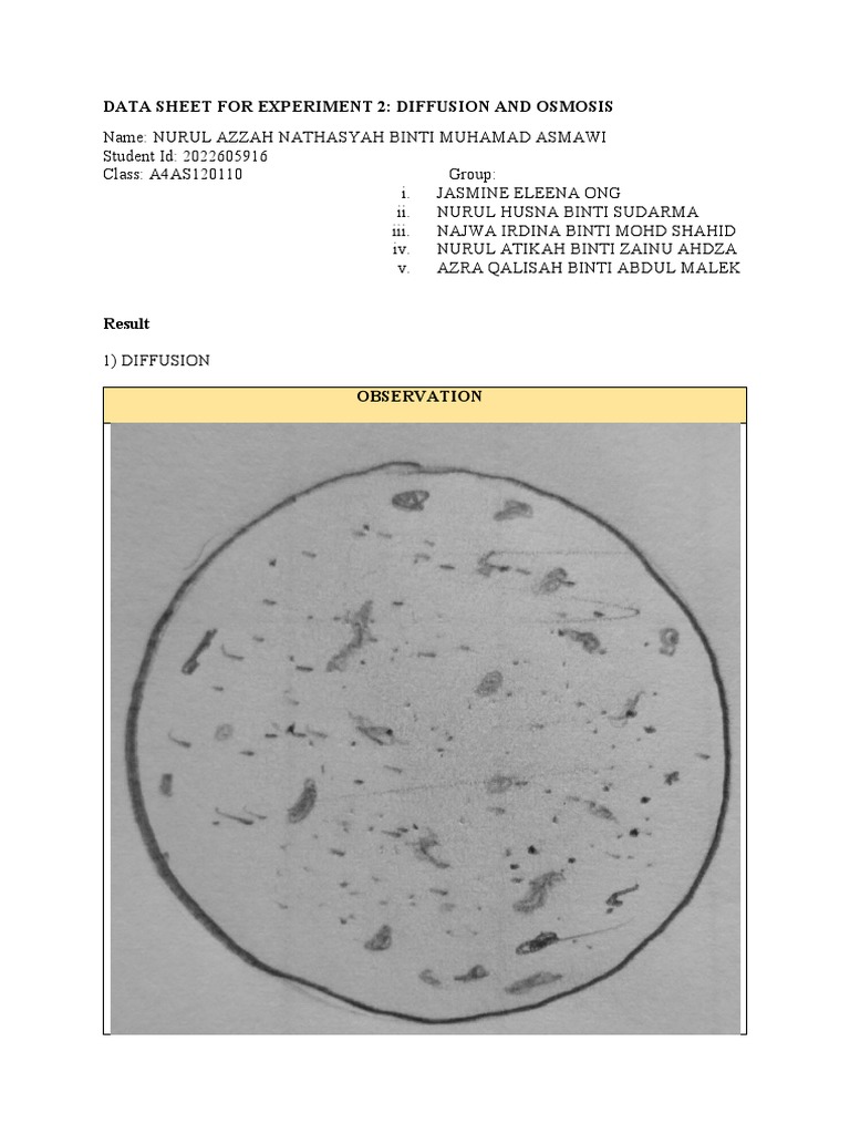 Understanding Diffusion and Osmosis through a Potato Cylinder ...