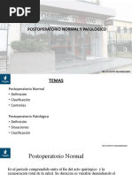 Actualizacion de Protocolos de La Cap | PDF