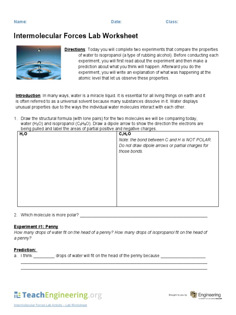 Intermolecular Forces Activity - Worksheet | PDF | Properties Of Water ...