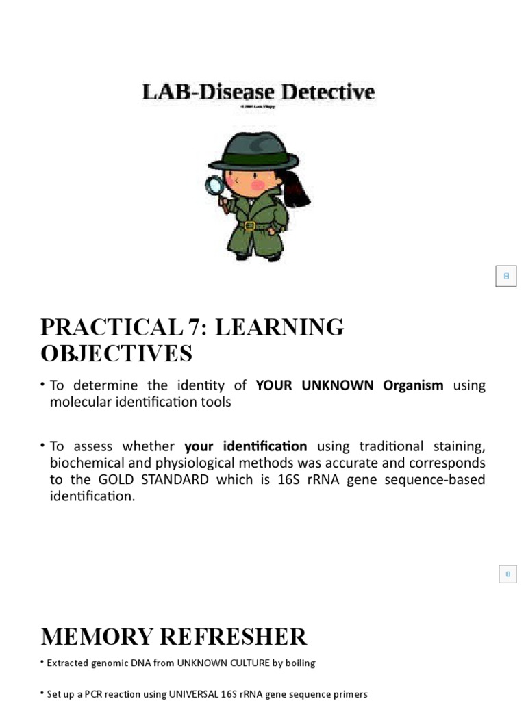 Prac 7 - 2021 | PDF | Polymerase Chain Reaction | Sequence Alignment