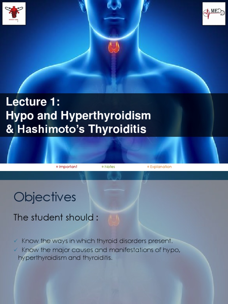 L1 Hypo, Hyperthyroidism and Hashimoto Thyroiditis | PDF ...