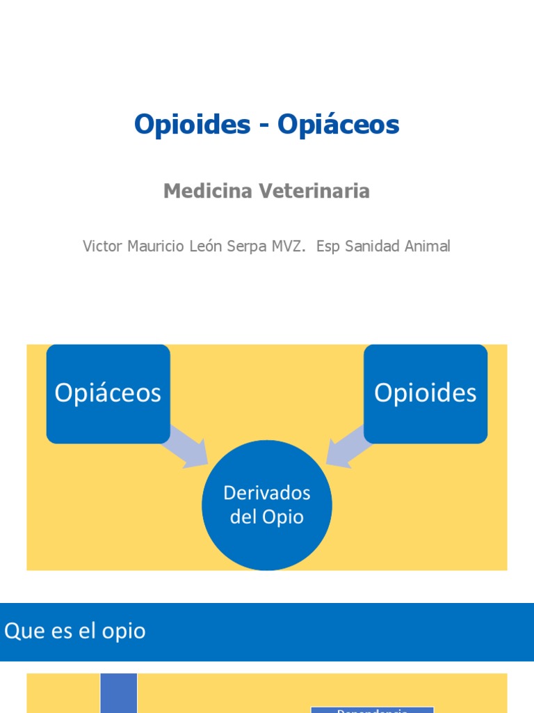 Opioides - Opiáceos: Medicina Veterinaria | PDF | Opioide | Drogas que actúan sobre el sistema ...