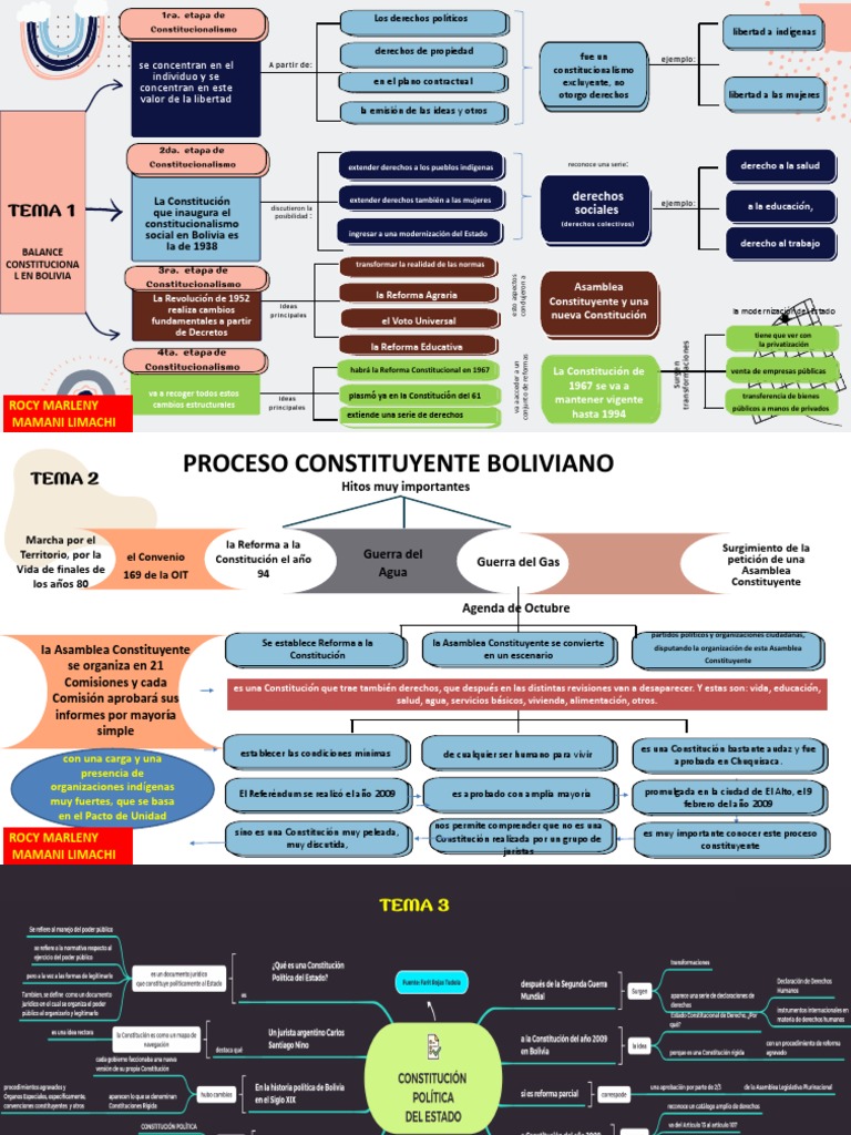 Mapas Conceptuales | PDF | Constitución | Bolivia