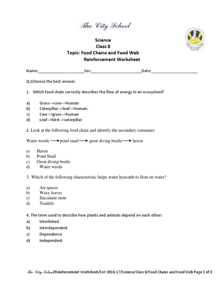Class 8 Science: Food Chains Worksheet | PDF | Food Web | Predation