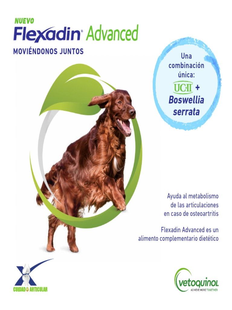 Flexadin Advanced Vetoquinol | PDF | Osteoartritis | Droga anti ...