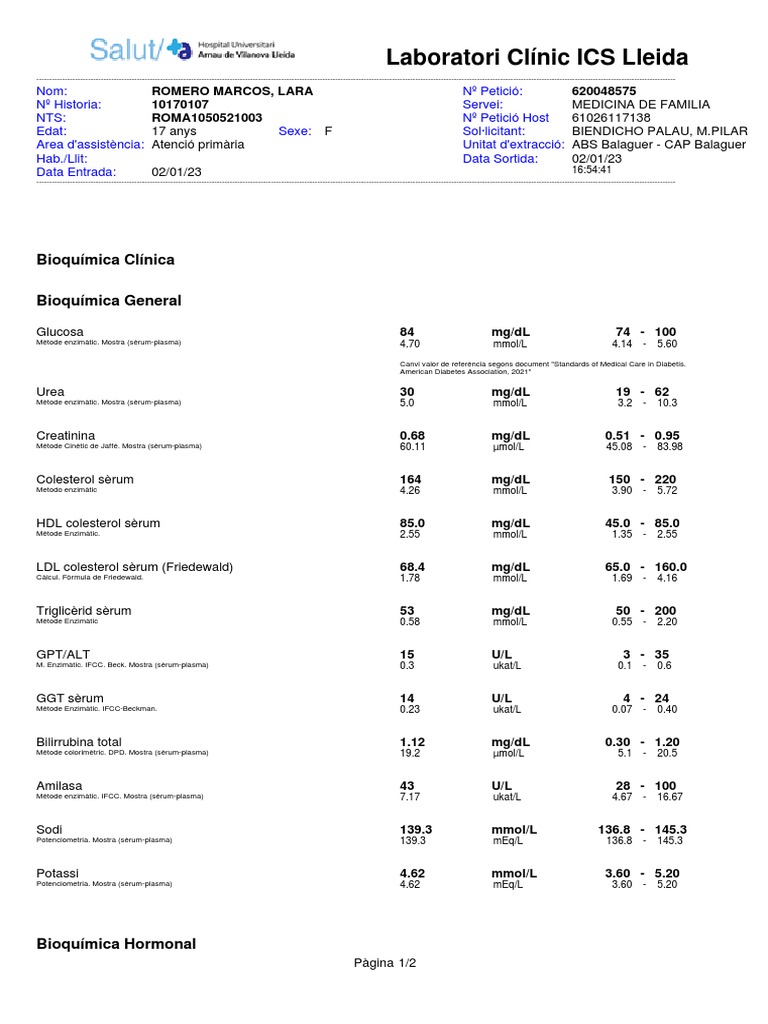 Analitica Lara Gener | PDF