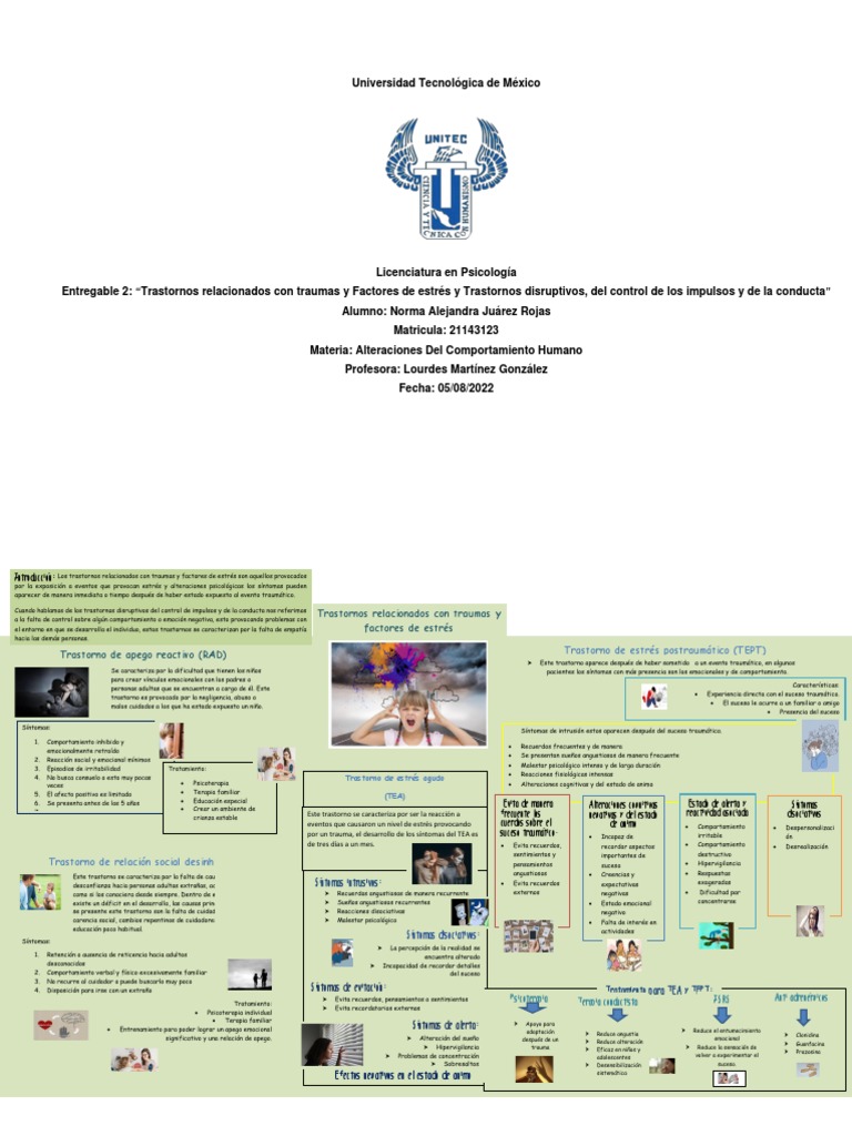 Entregable 2 - Infografía | PDF | Trauma psicólogico | Estrés (biología)