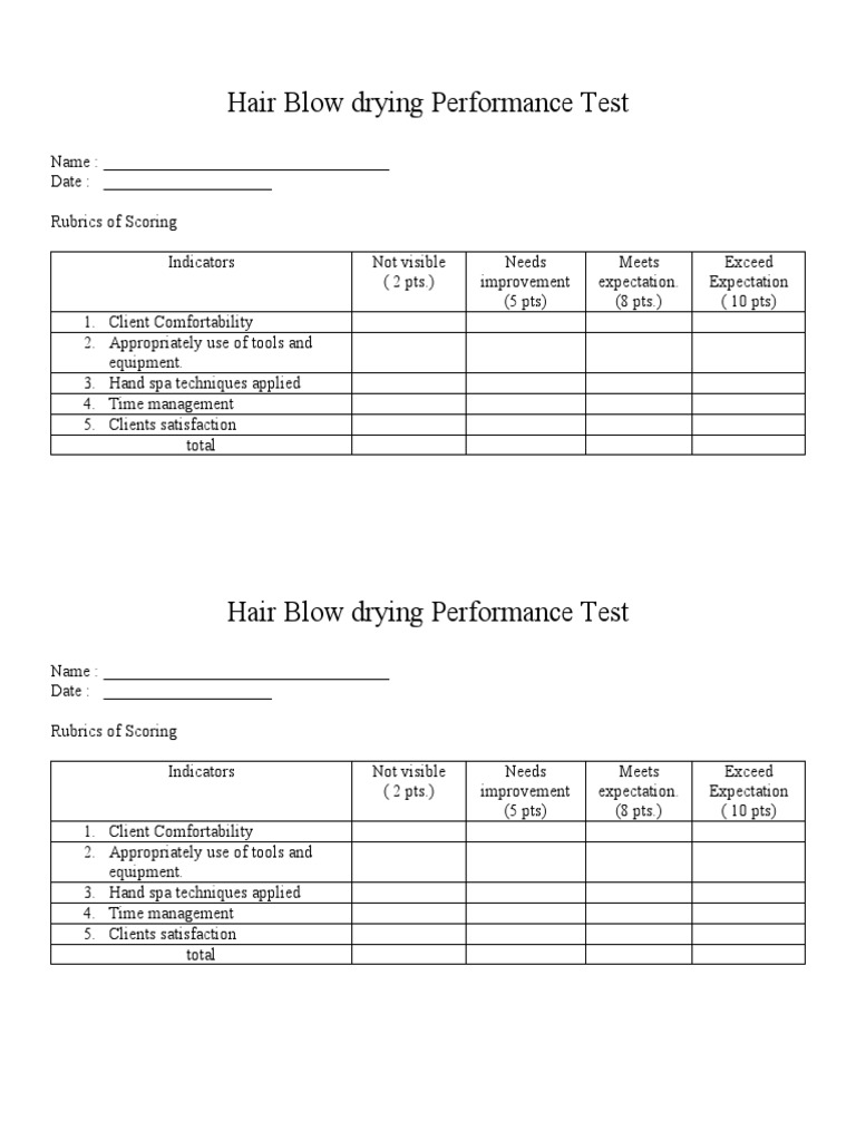 Hair Blow Drying Performance Test Rubrics | PDF