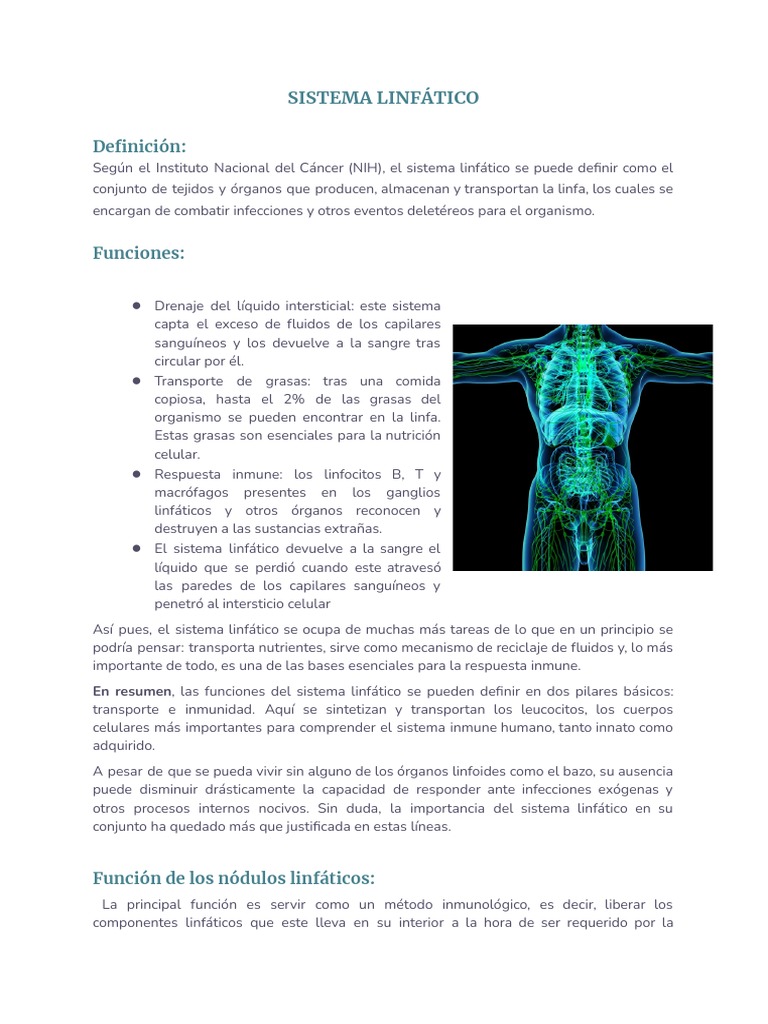 Sistema Linfático | PDF | Sistema linfático | Sistema inmune